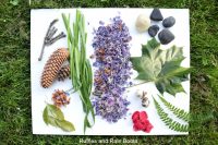 Loose Parts Play Activities with This Free Nature Art Printable