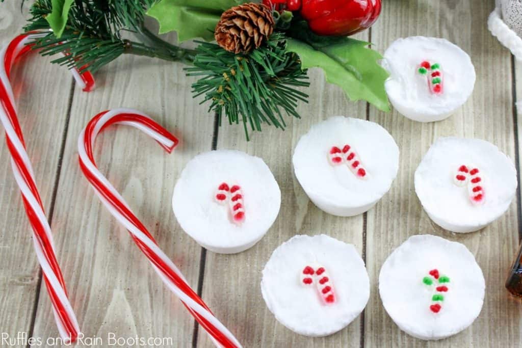 Candy Cane Christmas Shower Fizzies Recipe