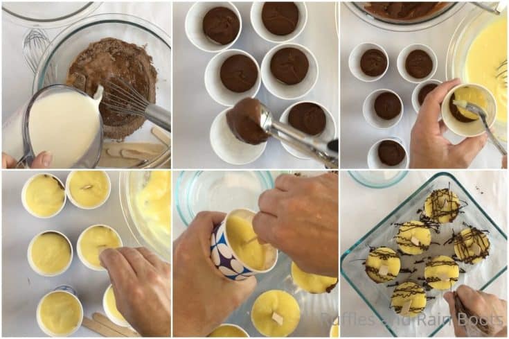 Make Easy Dixie Cup Popsicle Pudding Pops Fast!
