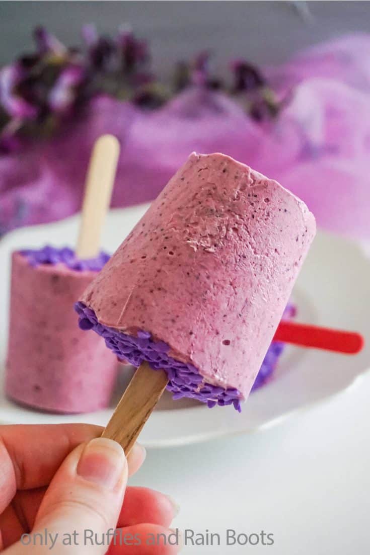 How to Make Mixed Berry Dixie Cup Popsicles Quick!