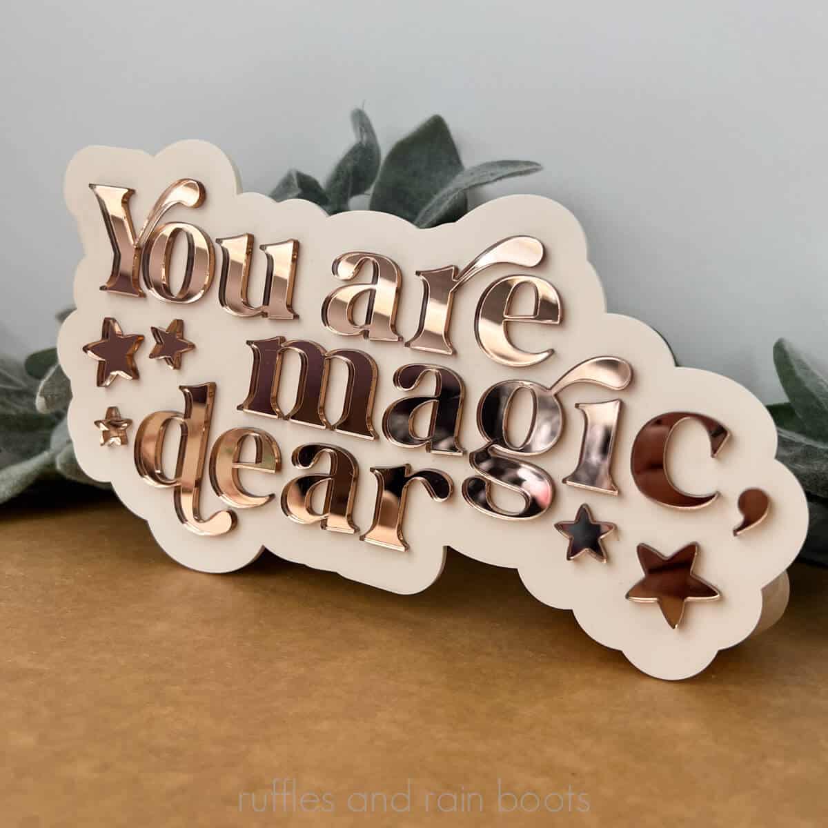 How to Make a Mirror Acrylic Sign xTool P2 - Ruffles and Rain Boots